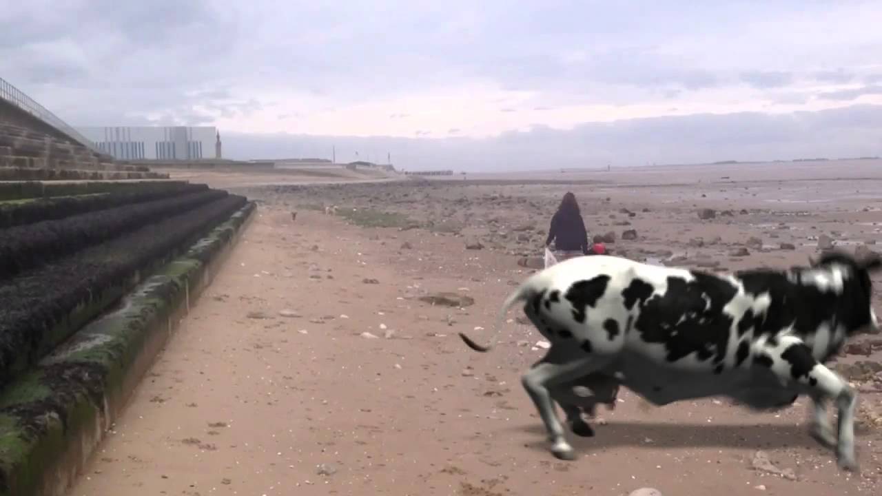 Creatures FX Mobile App - YouTube