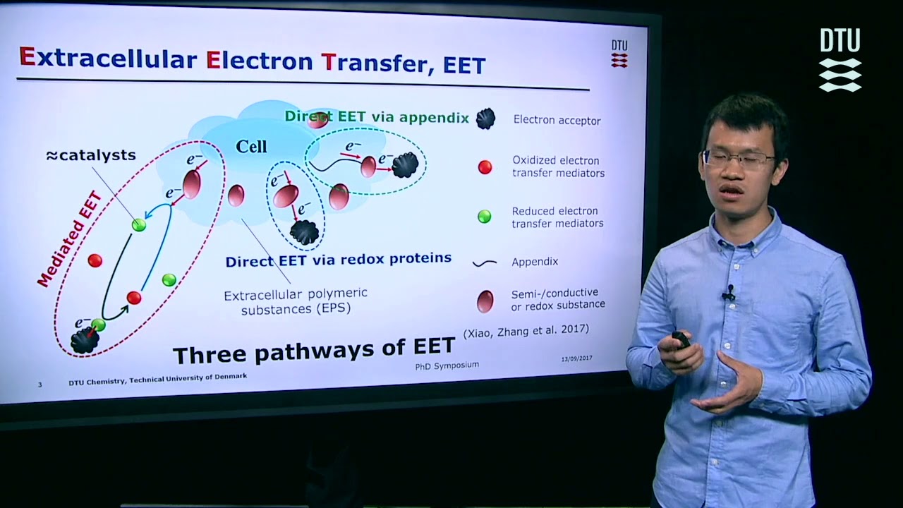 Long-range Interfacial Electron Transfer Between Electrodes and ...