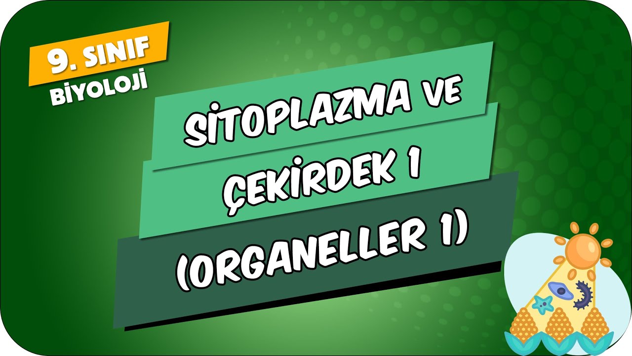 Sitoplazma ve Çekirdek - 1 (Organeller - 1) | 9.Sınıf Biyoloji #2024 ...
