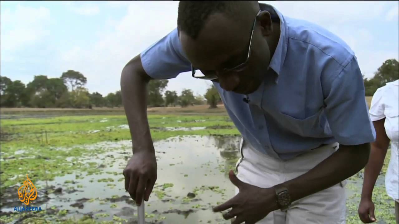 Lifelines: The Quest for Global Health - Lifelines - Health Hero ...