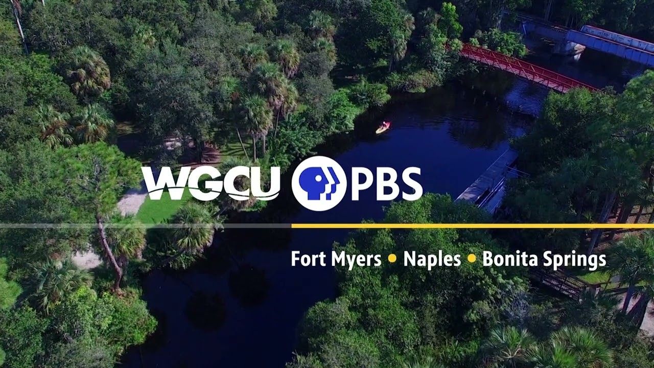 WGCU-TV - WGCU PBS ID - 8/2022 - YouTube