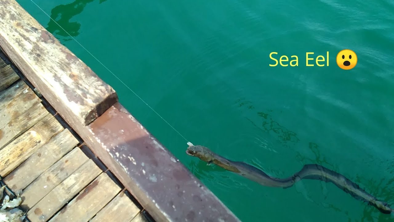 Traditional Fishing,Longline Fishing,Catch and Cook... Philippines ...
