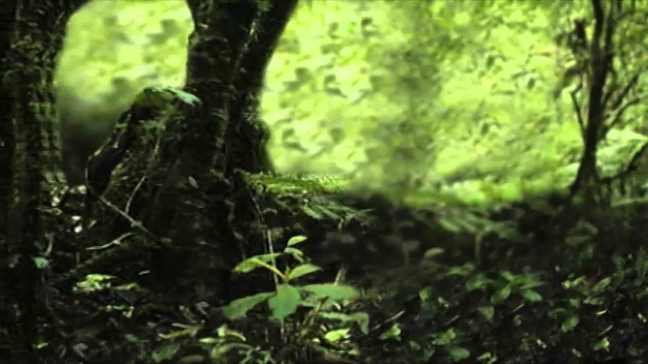 Benjamin Harrison Addy Awards - YouTube