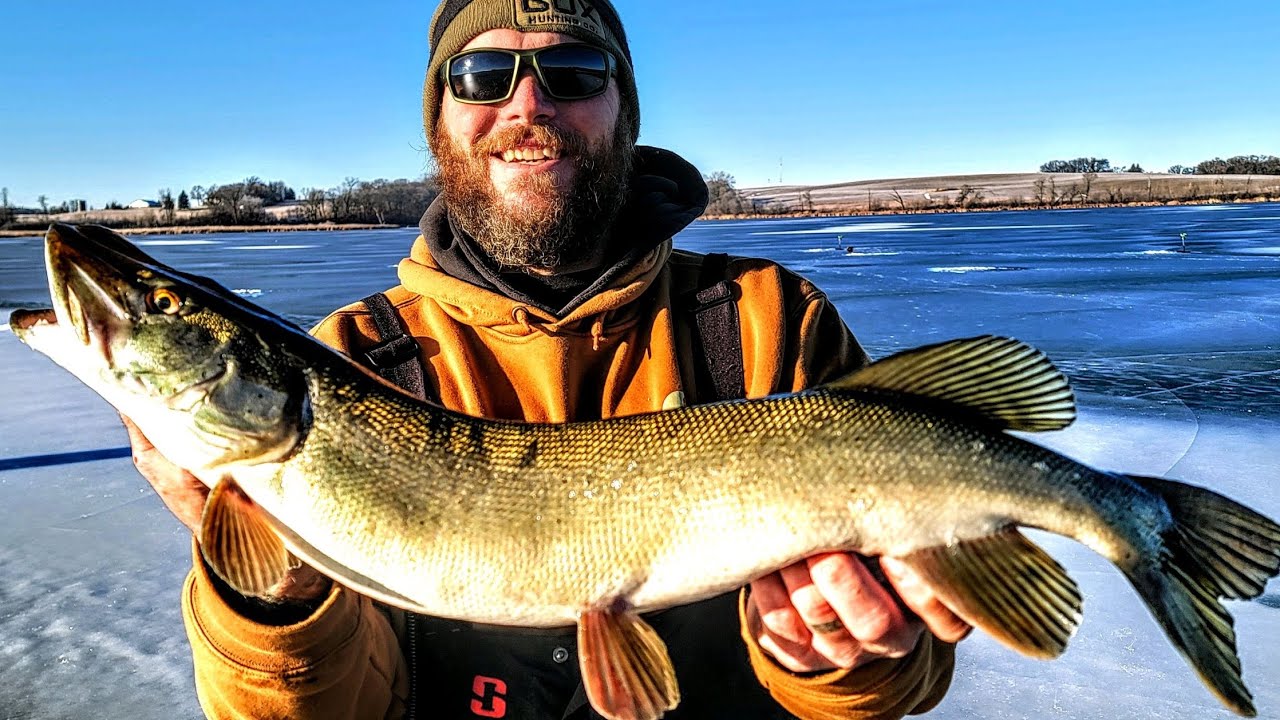 Non stop pike fishing through the ice with Sullivan tip downs (pb ...