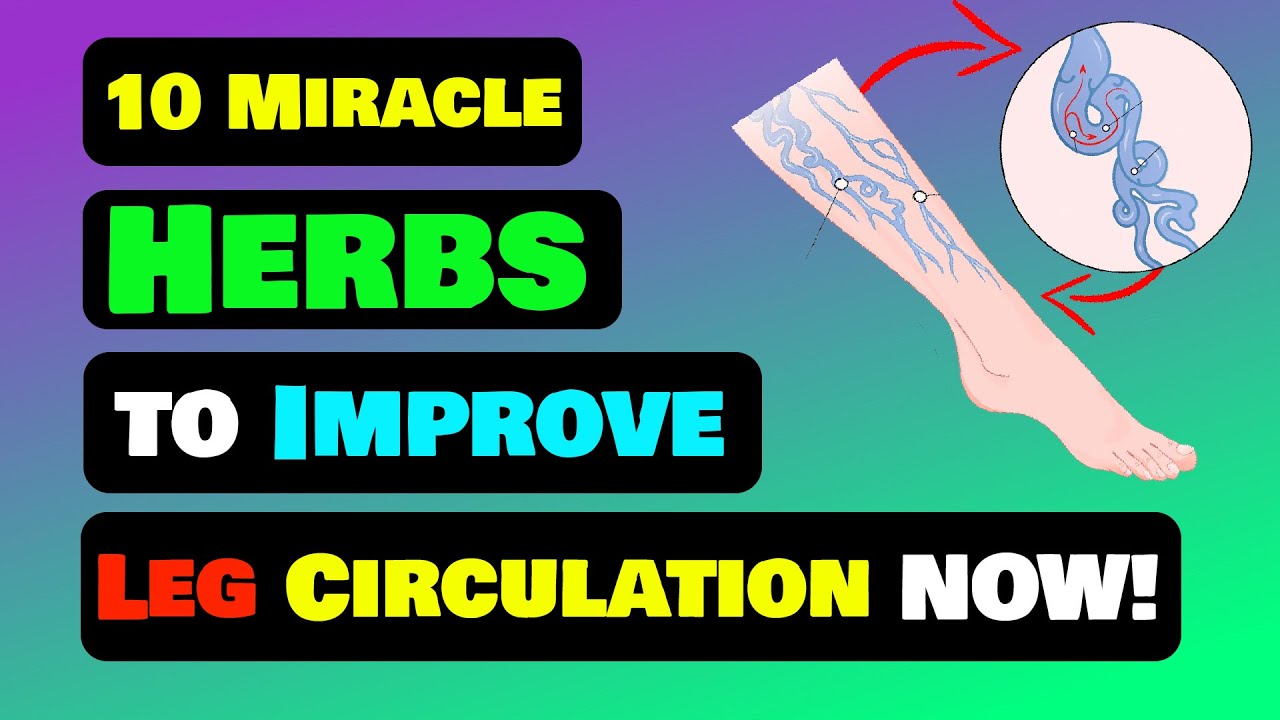 10 Miracle Herbs to Improve Leg Circulation NOW! - YouTube