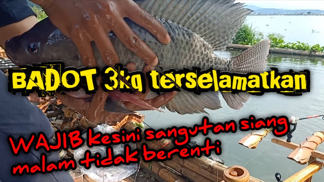 MANCING CIRATA 2024 || BADOT 3KG || WAJIB COBAIN KESINI SERANGAN SIANG MALAM TIADA HENTI ...