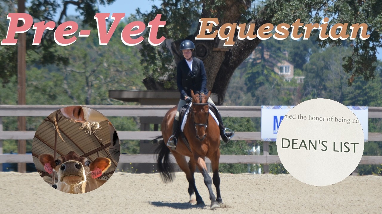 🩺 Day in the Life of a Pre-Vet Equestrian IN COLLEGE 🐎 ║ Riding Video ...