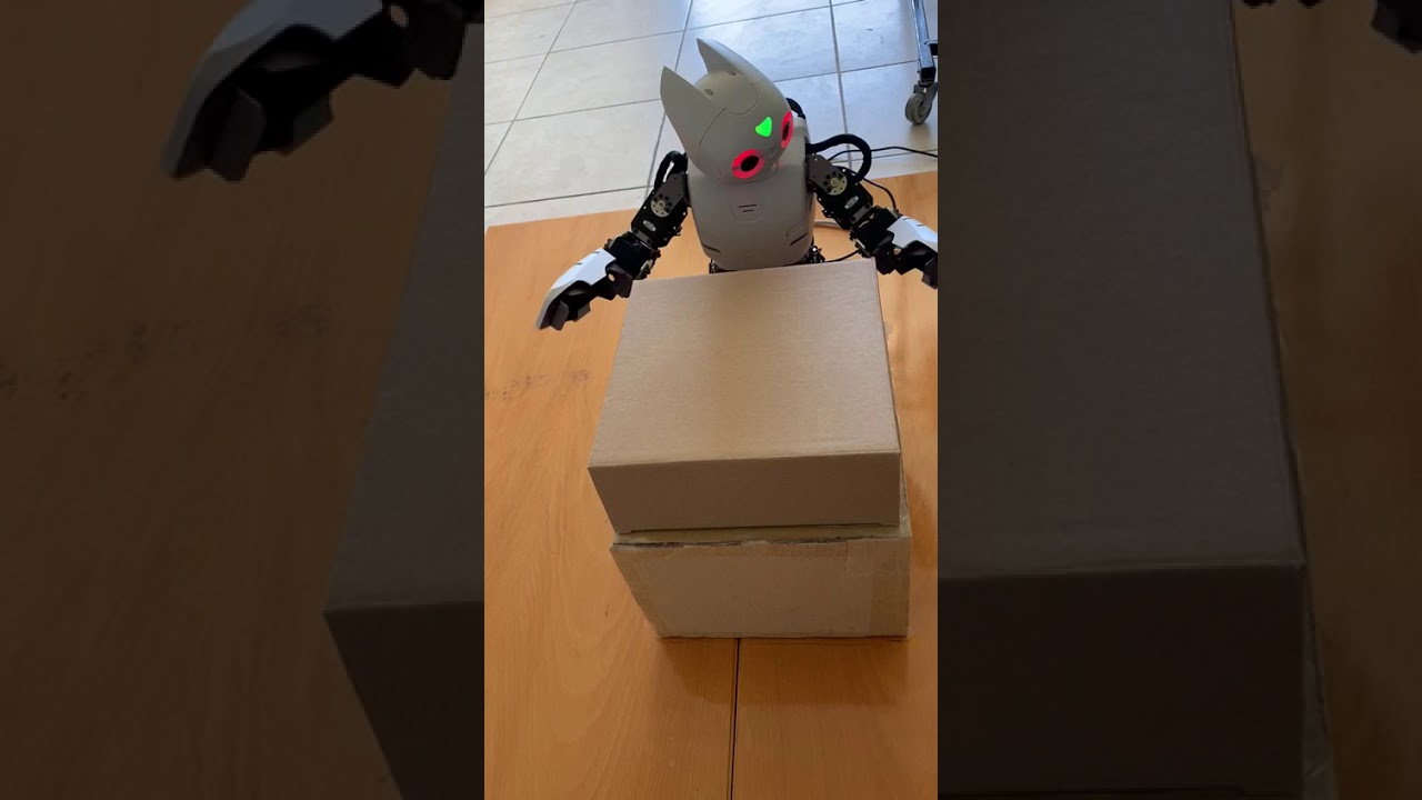 Robotis-Op2 Box - YouTube