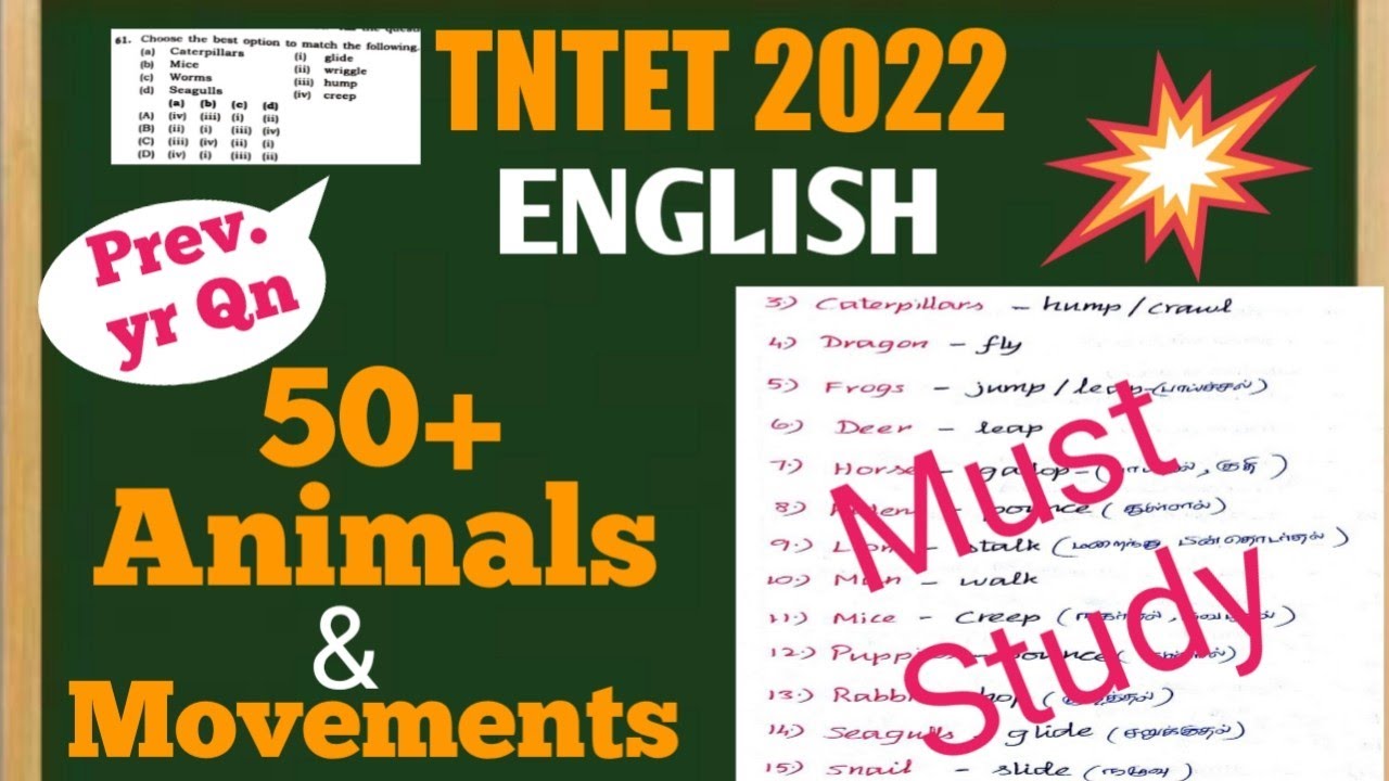 Animals and their movements/ movements of different animals/tntet ...