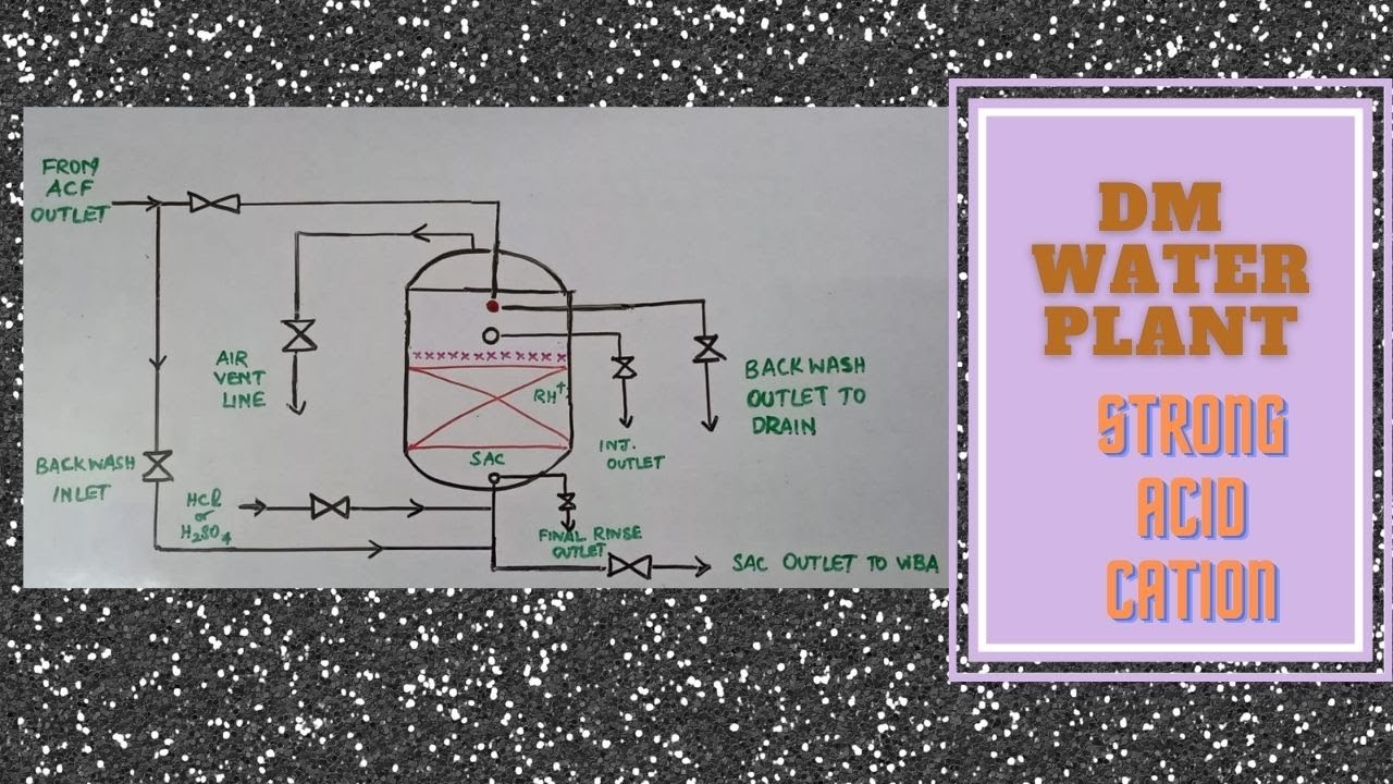DM Plant - SAC - YouTube