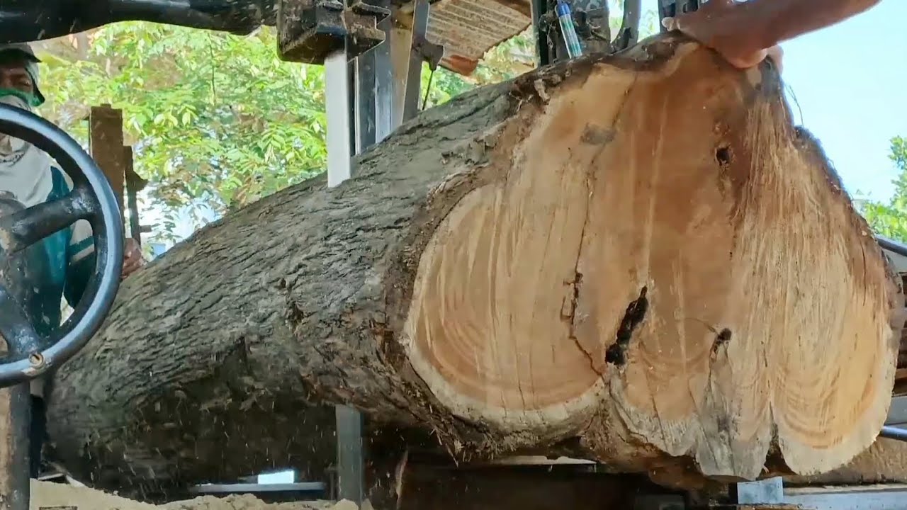 The skill of sawing large logs to make blocks and or planks - YouTube