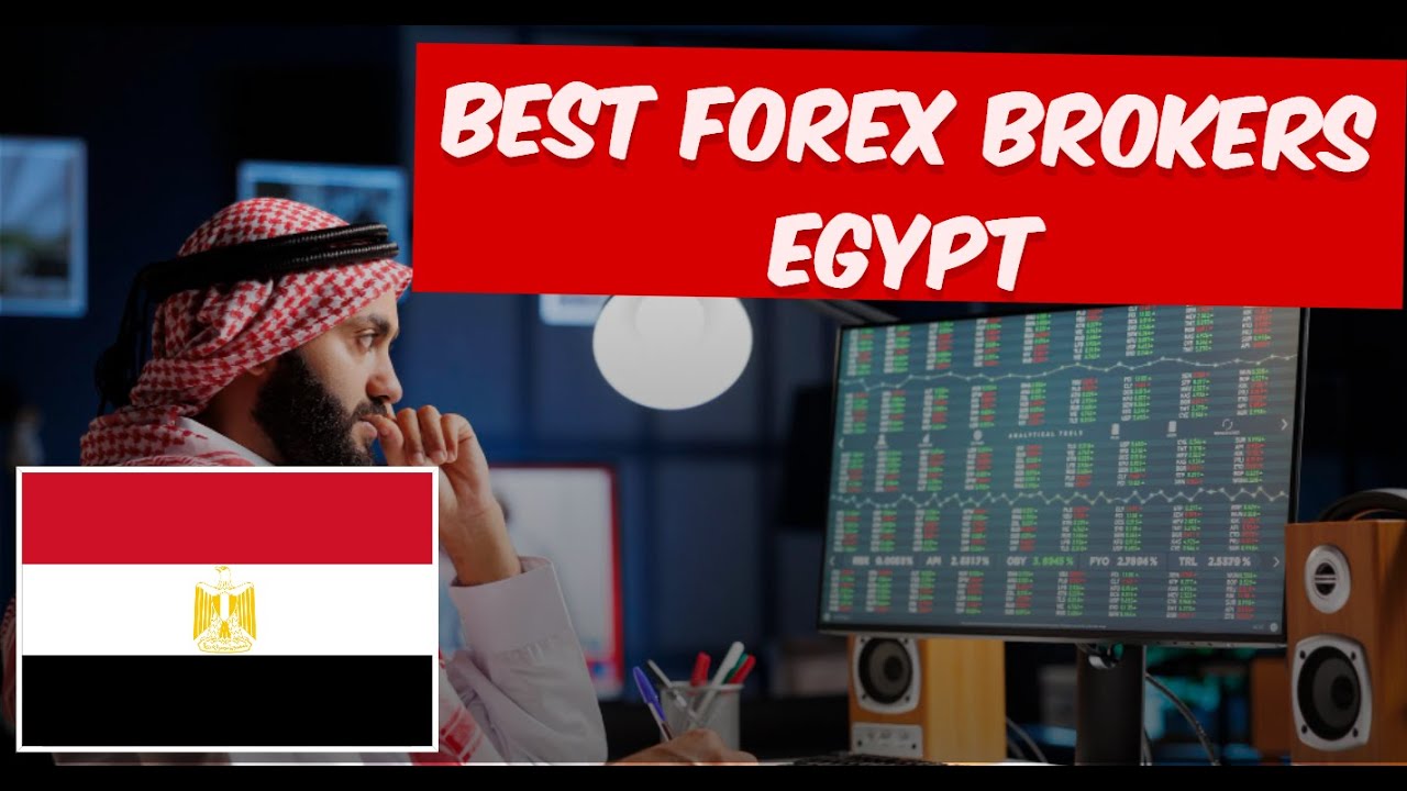 Forex Brokers in Egypt ️ Best Picks in 2024 - YouTube