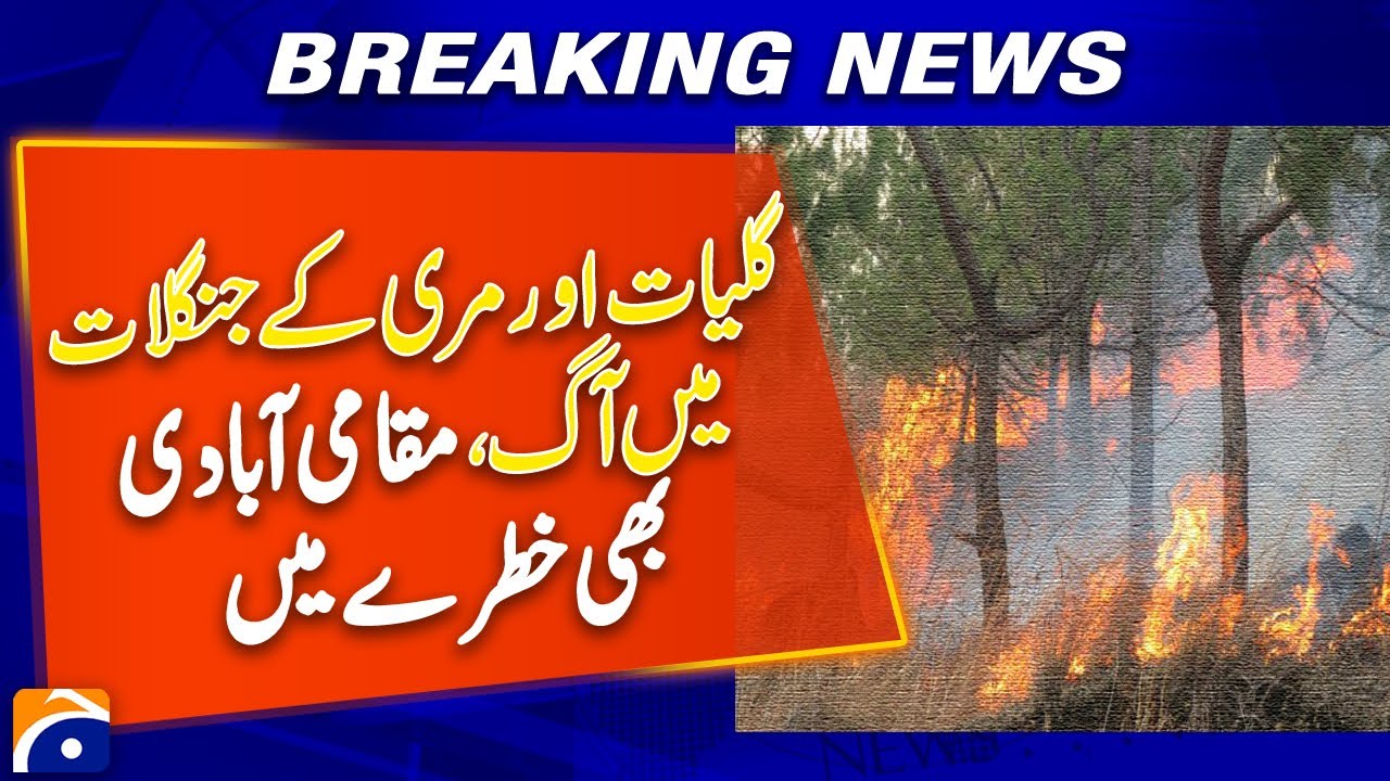 Massive Forest Fire in Galiyat & Murree | Locals at Risk! | Geo ...