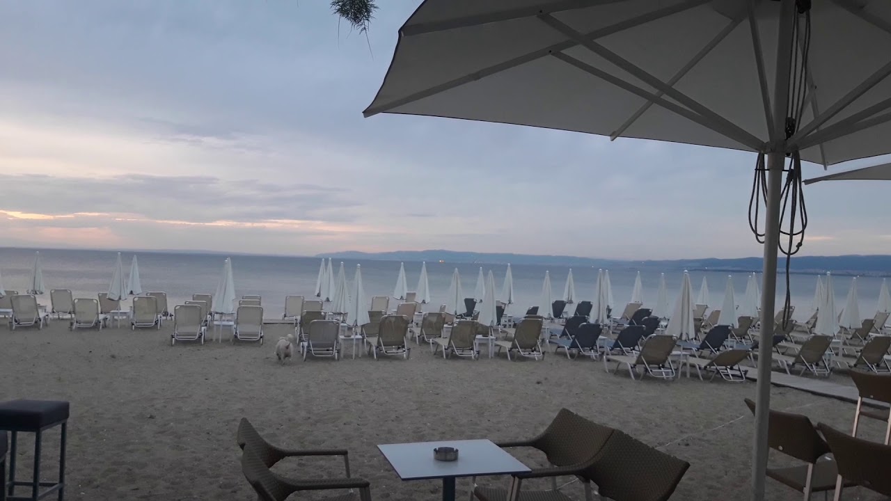 Nei Epivates.Greece and dog Gessi. - YouTube