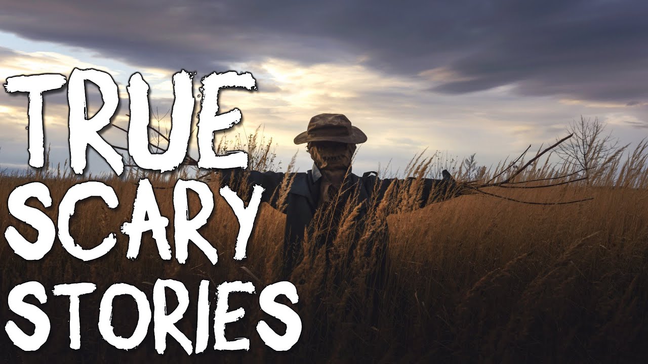 3 Scary True Stories Nocturnal Enigma Cryptic Chronicles Arise - YouTube Music