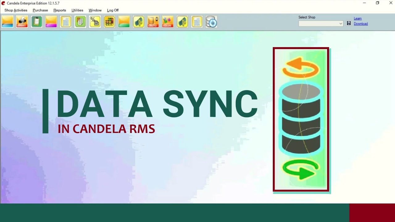 What is Data Sync | Candela RMS Enterprise Edition | Integrated Retail ...