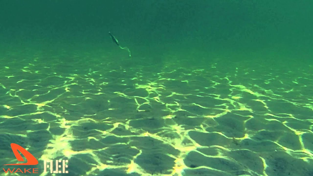 Wake Fishing - Flee - YouTube