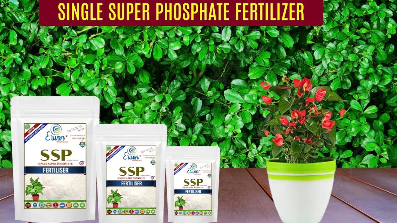 Erwon Single Super Phosphate Fertilizer Pure Powerful Fertilizer for ...