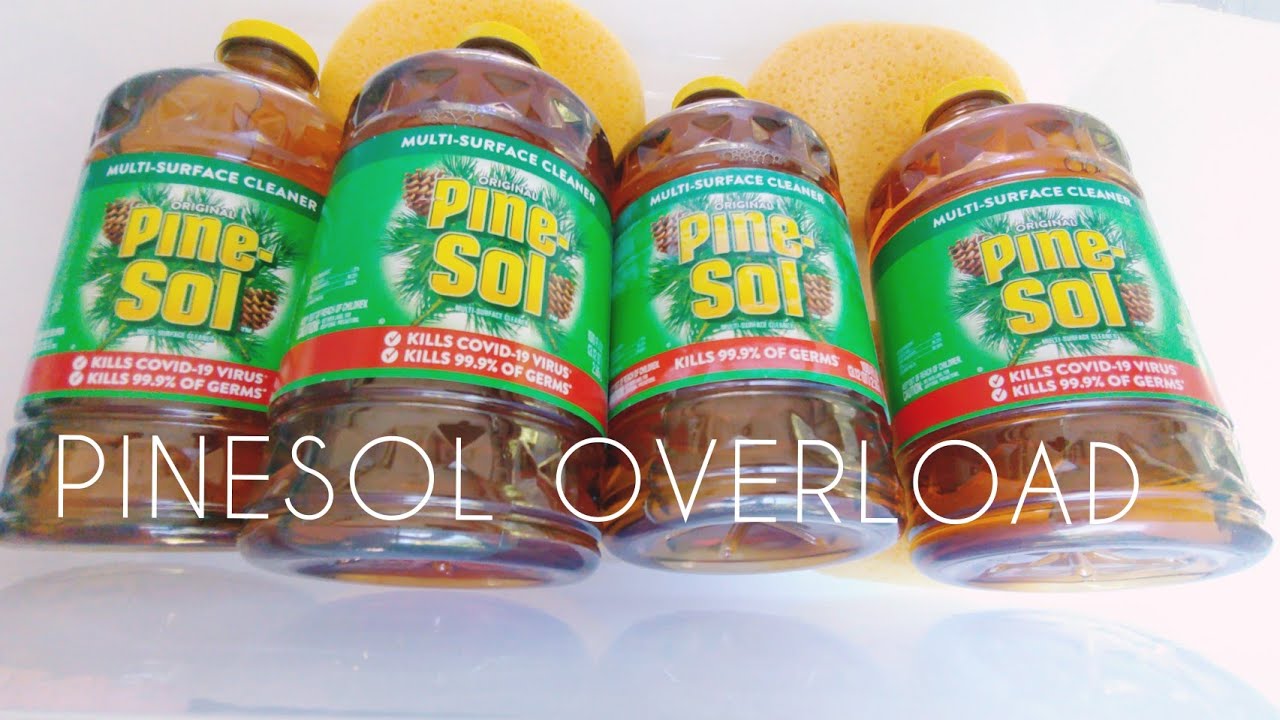 FOUR GALLONS PINE-SOL OVERLOAD | Sponge Squeezing - YouTube