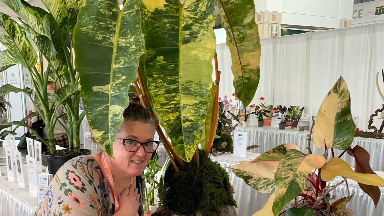 Field Trip! The TPIE (Tropical Plant International Expo) in Tampa - a ...