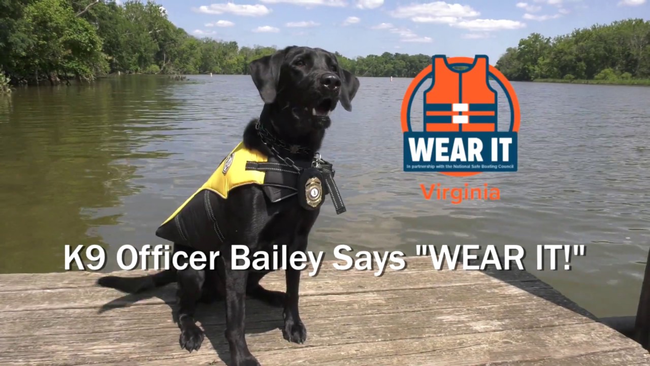 Wear It! Life jacket PSA - YouTube