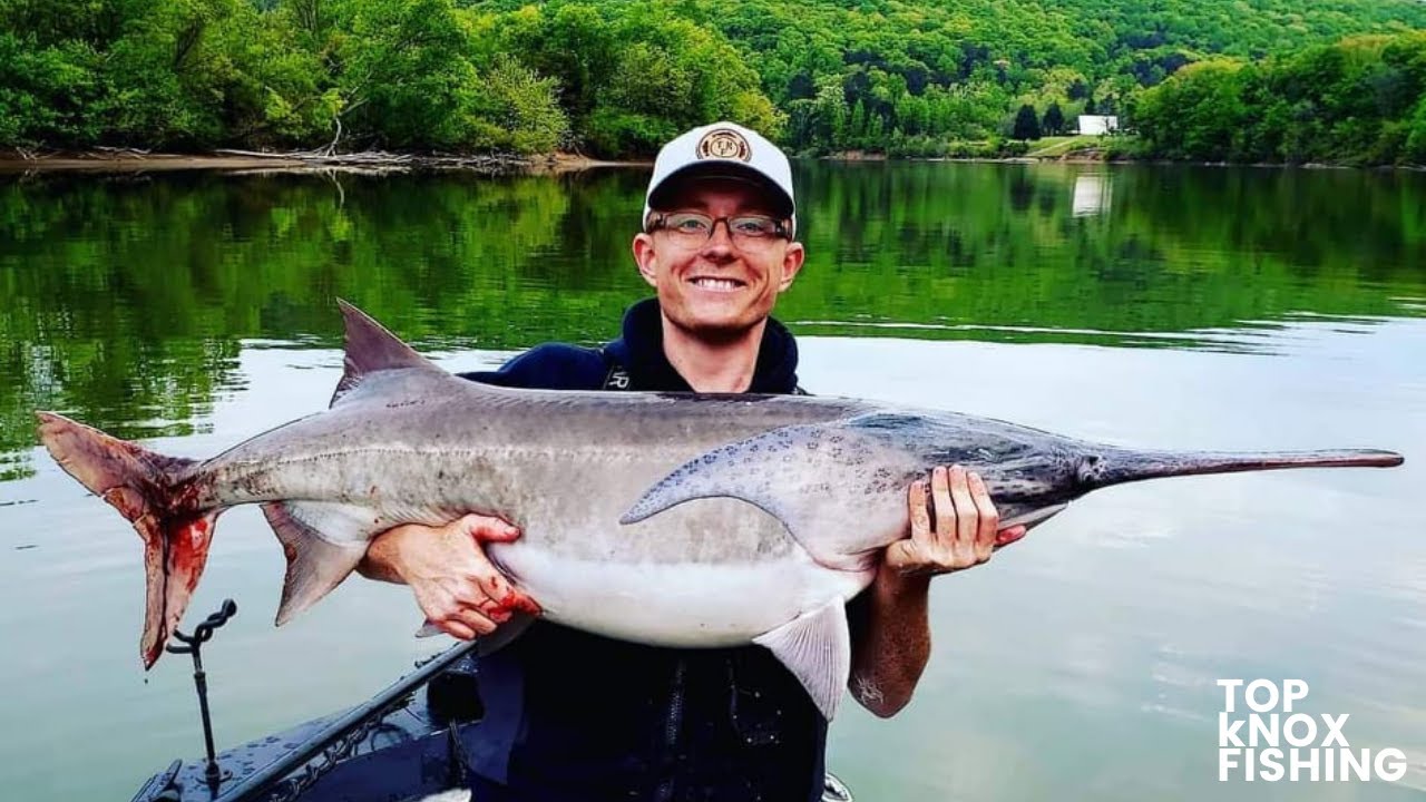 Fishing for Dinosaurs | Catching and Cleaning The Prehistoric ...