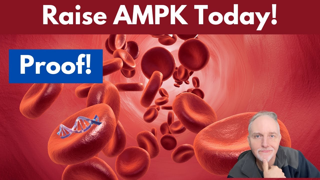 6 Natural Ways to Boost AMPK! - YouTube