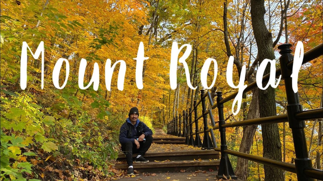 Autumn/Fall hiking| Mount Royal Park Montreal - YouTube
