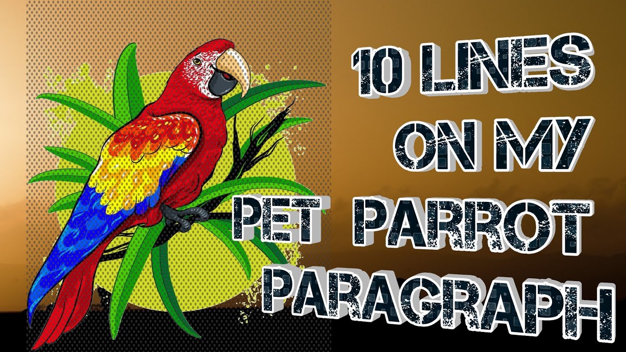 10 lines on My Pet Parrot Paragraph in English Cursive Handwriting ...