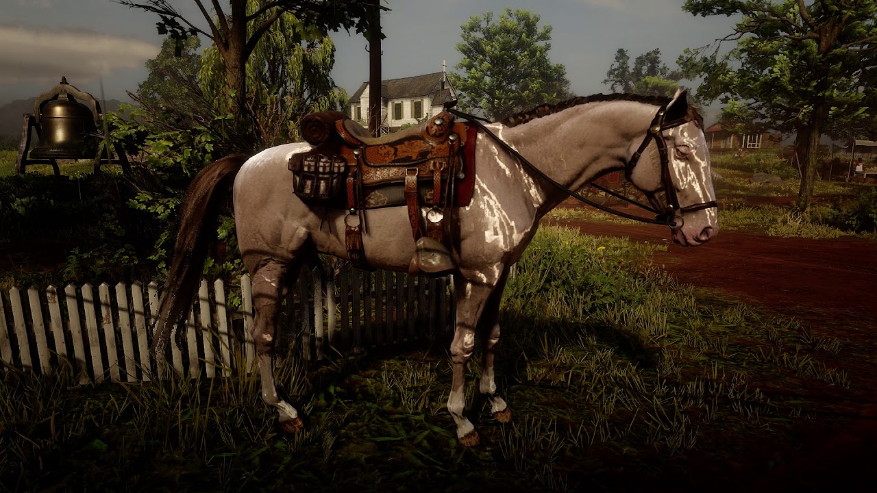 Astraea, the Perlino Turkoman - YouTube