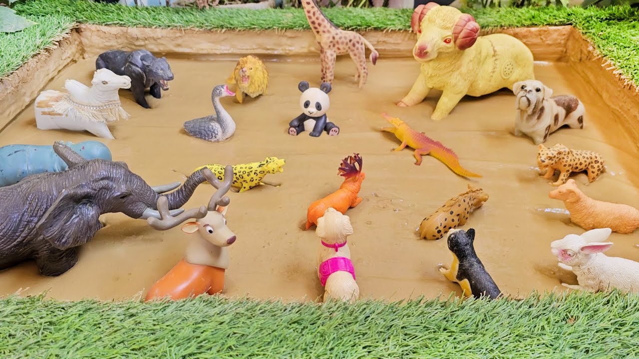 Explore the Jungle: Indian Animals and Creatures Galore! 🐅🐘 - YouTube