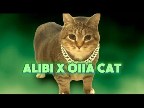 OIIA CAT X ALIBI ( 1 HOUR ) - YouTube