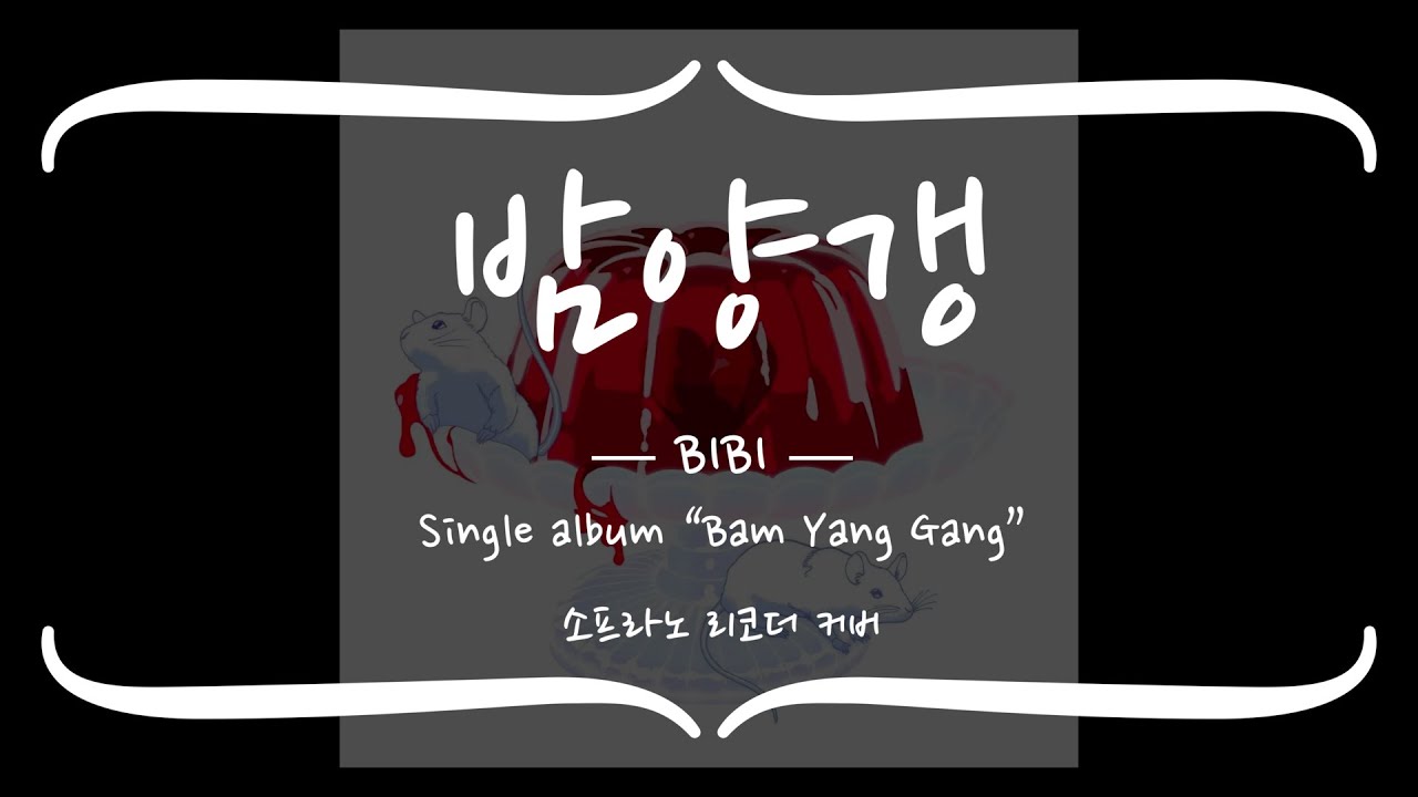 밤양갱 Bibi 소프라노 리코더 Youtube
