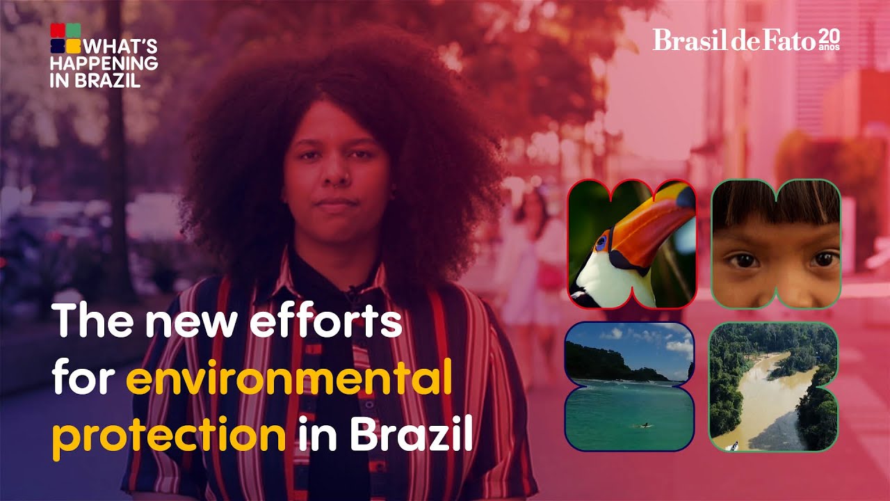 The new efforts for environmental protection in Brazil | What's ...