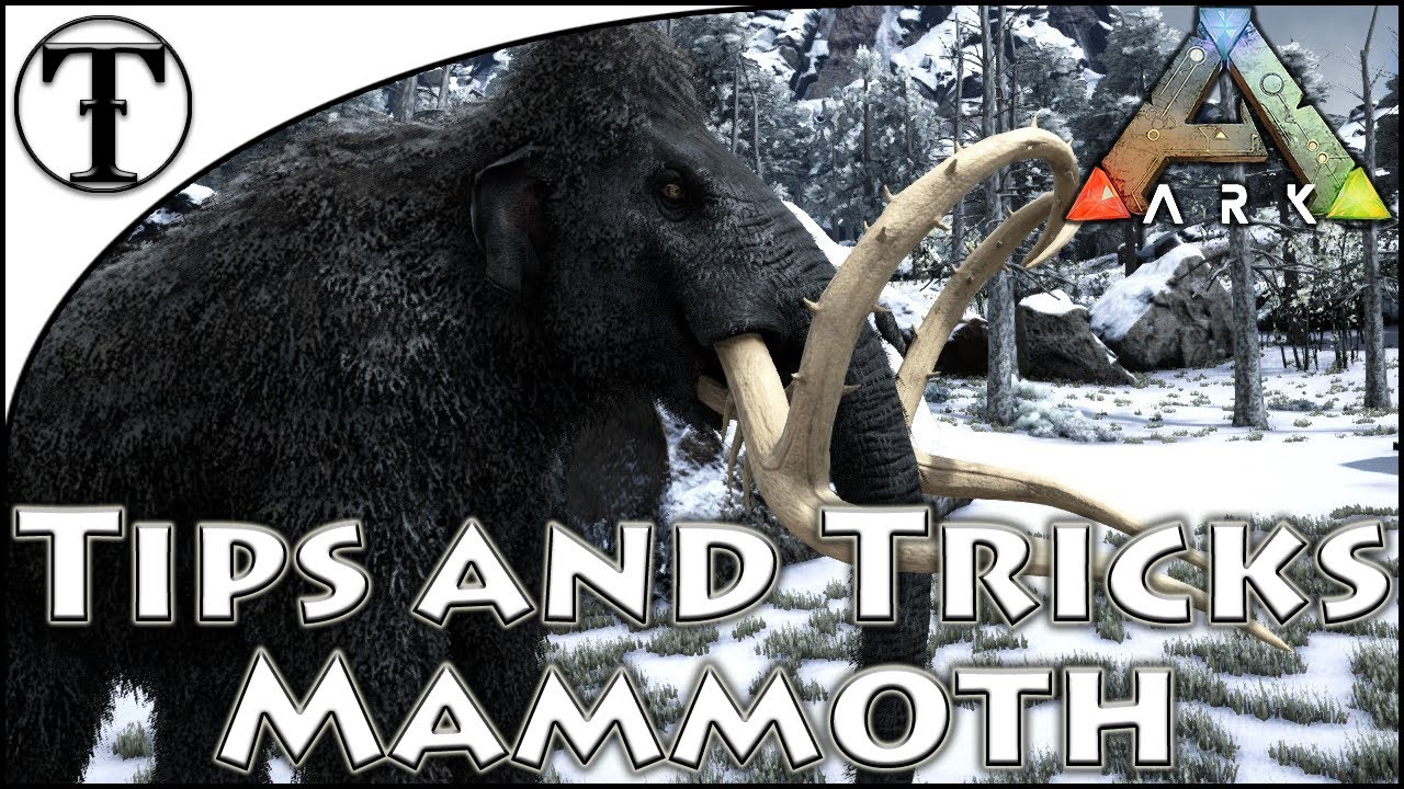 Fast Mammoth Taming Guide :: Ark : Survival Evolved Tips and Tricks - YouTube