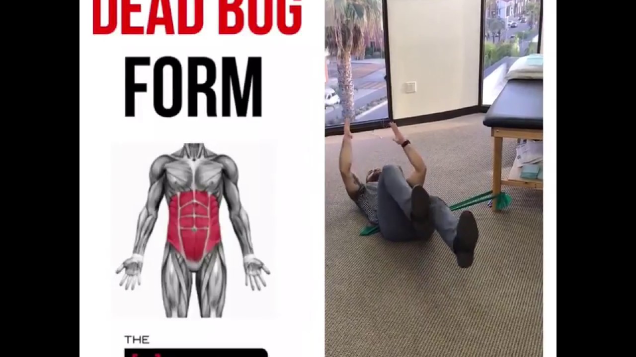 Dead Bug Form - YouTube