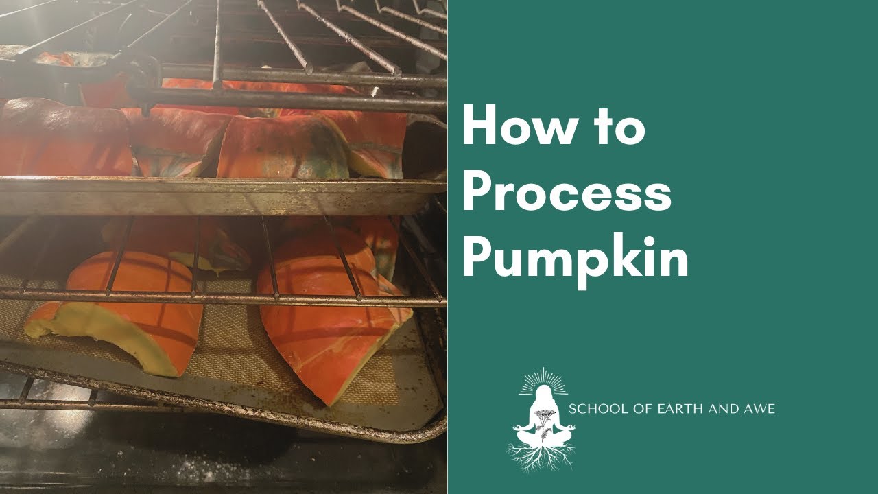 How to Process a Pumpkin - YouTube