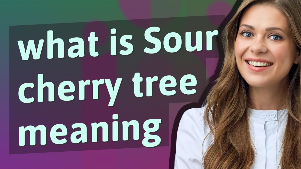 Sour cherry tree | meaning of Sour cherry tree - YouTube