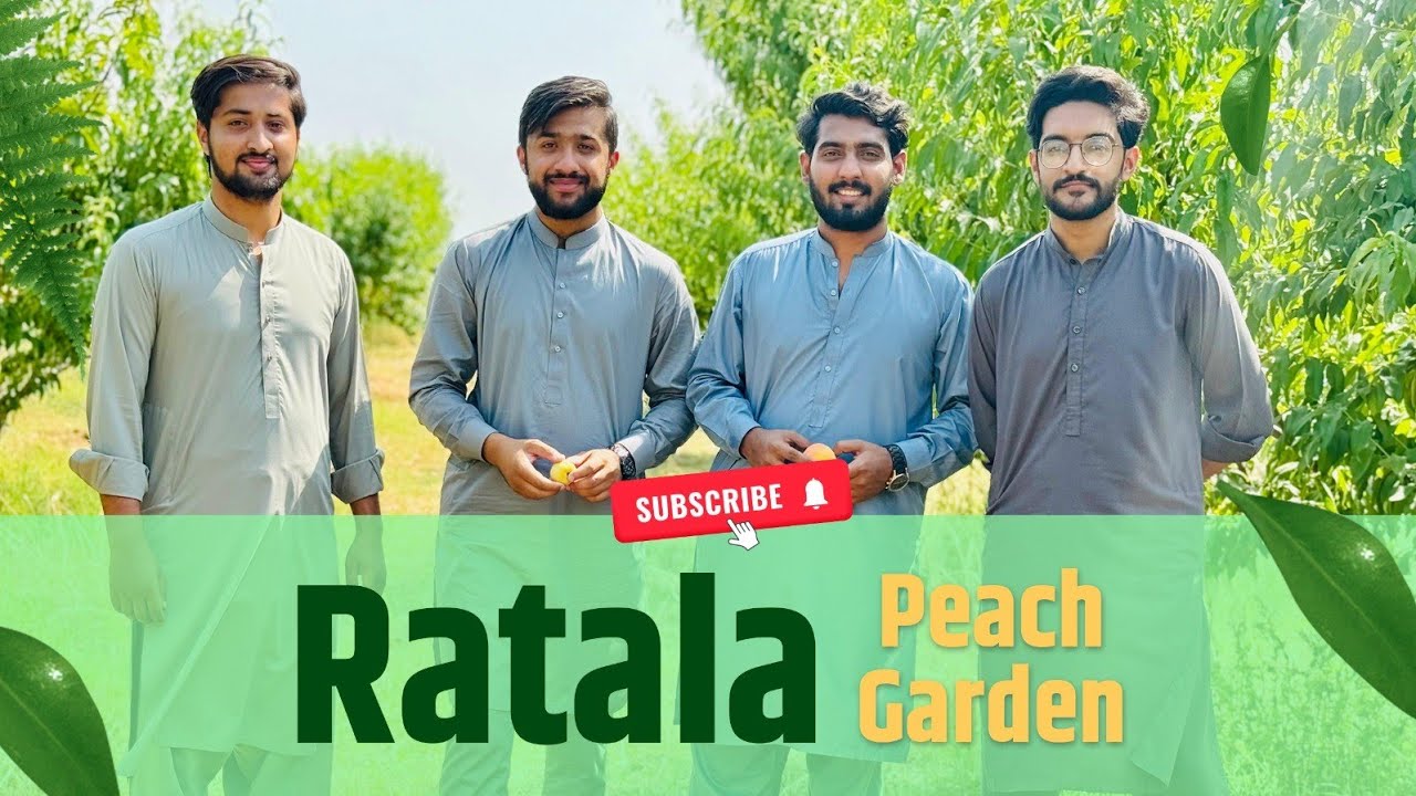 GOING TO RATALA IN PEACH FARM....🍑 | HANAD-VLOGS | LIKE SHARE and ...