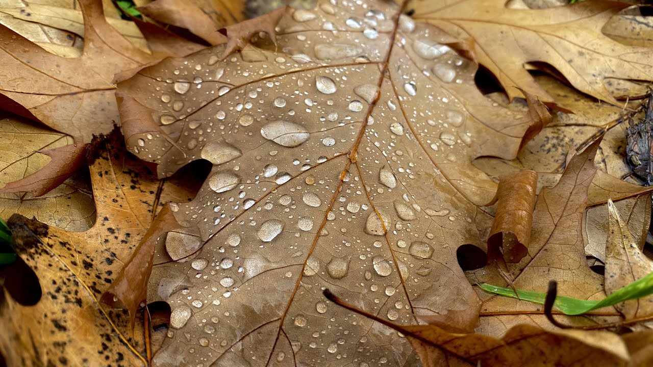 Meditation: Mer-Ka-Ba - 17 Minutes, 4k - YouTube