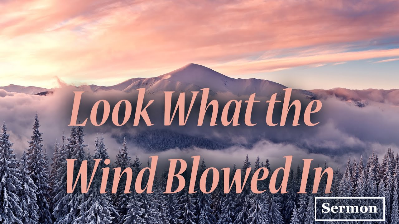 Look What the Wind Blowed In - YouTube