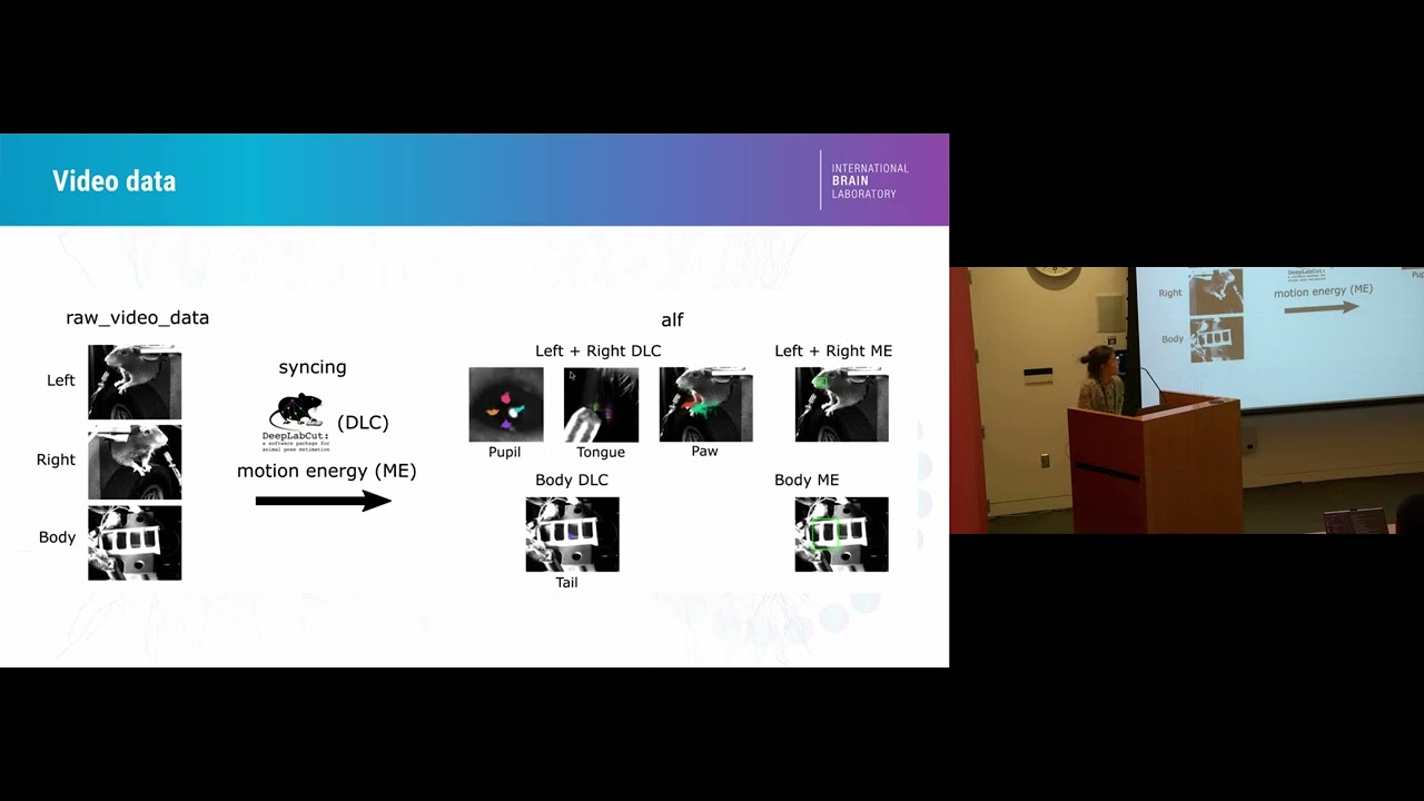 Data from the International Brain Laboratory - YouTube