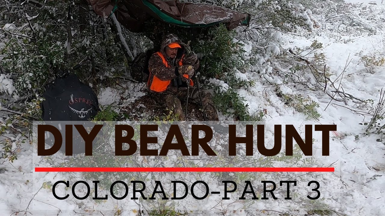 DIY COLORADO BLACK BEAR HUNT (FALL SPOT AND STALK) PART 3 - YouTube