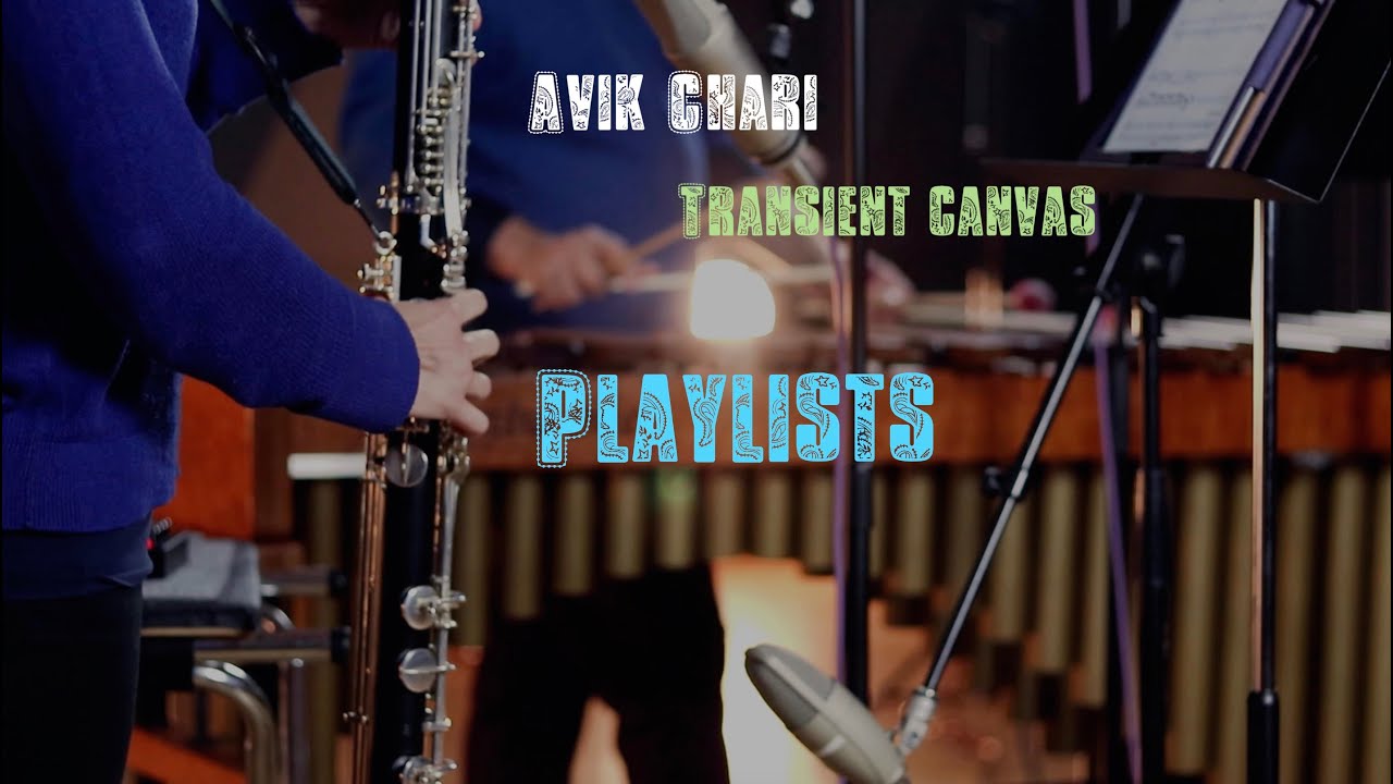 avik chari (ft. Transient Canvas) - Playlists for bass clarinet ...