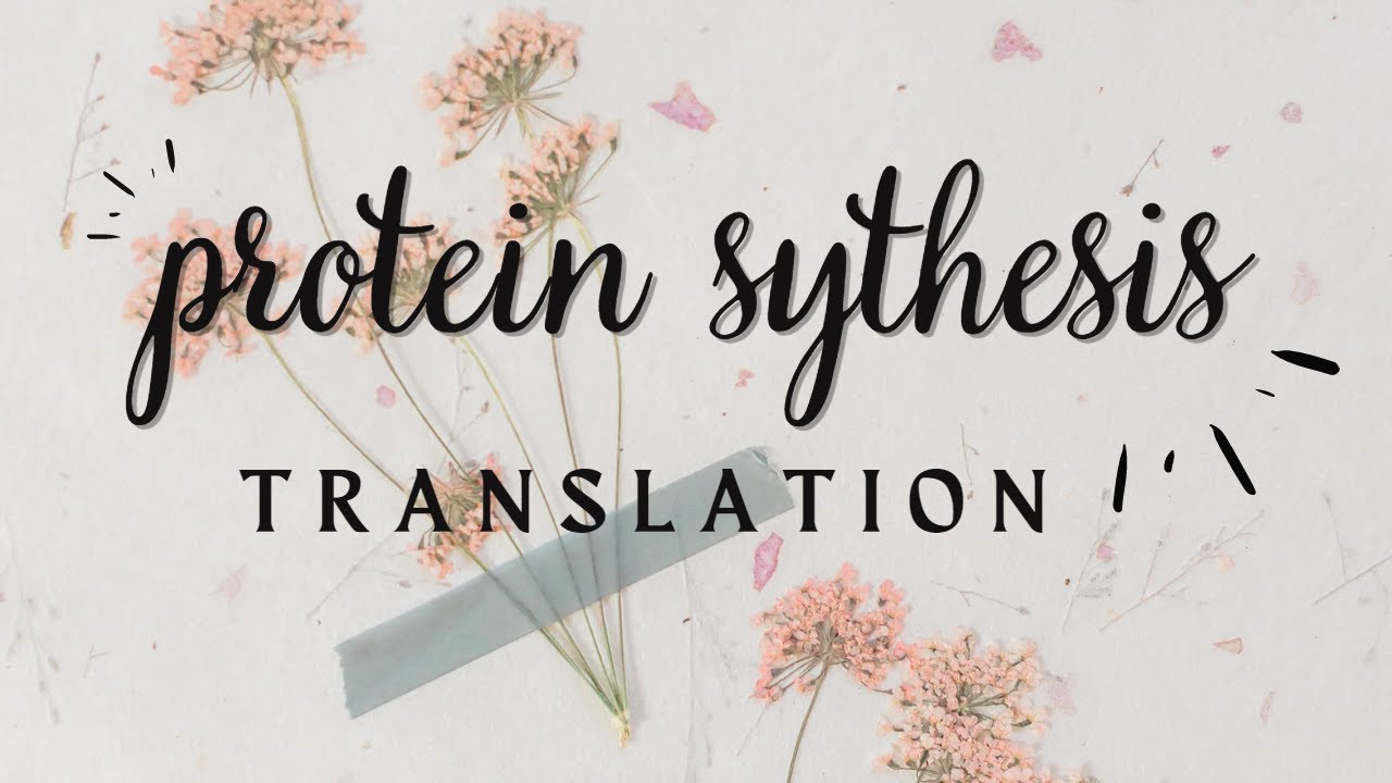 868 -steps of translation - initiation- recognition of special ...