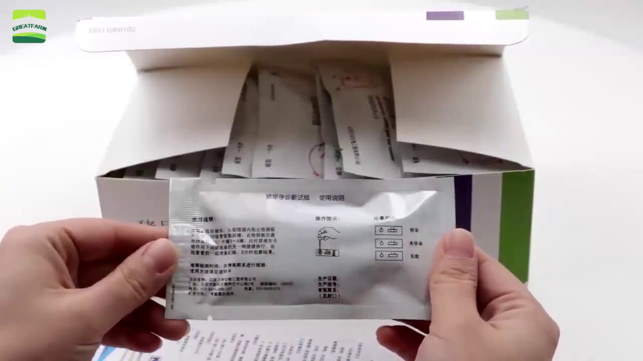Early pregnancy diagnostic test paper for sows - YouTube