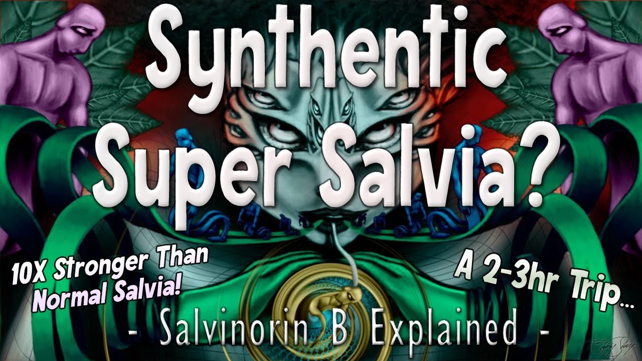 A Form of Super Salvia - Salvinorin B Explained - YouTube