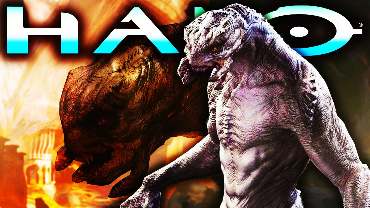 Halo Lore - The Honorable History of Elites - YouTube