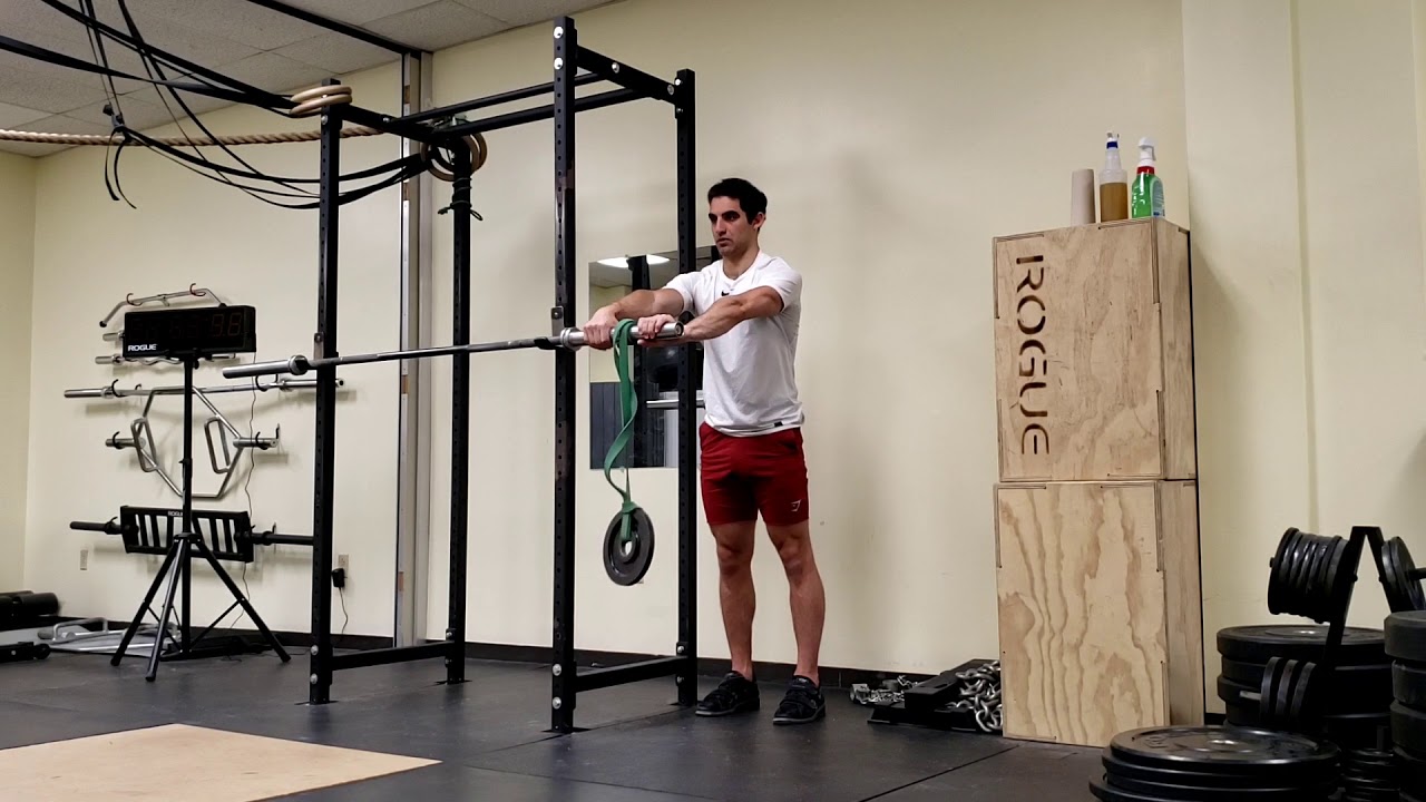 Forearms: Fat grip straight arm wrist extension with hanging weight ...