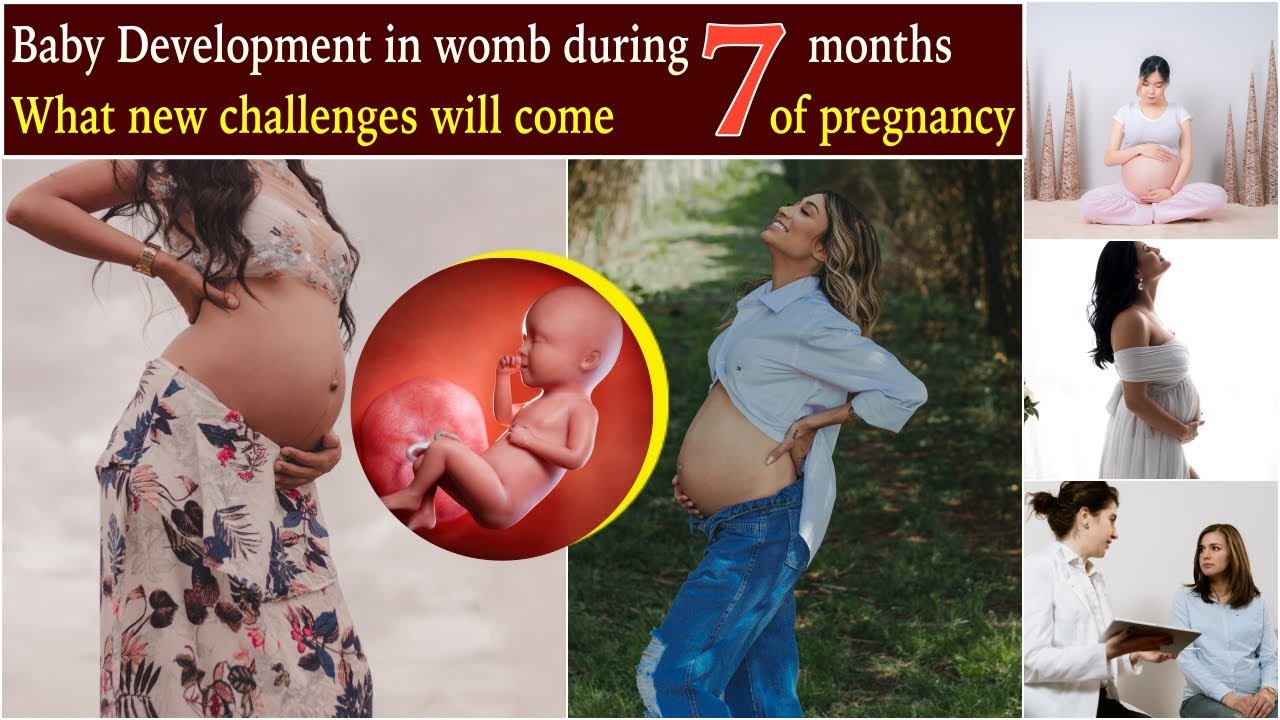Baby Development in womb during 7months - What new challenges will come ...